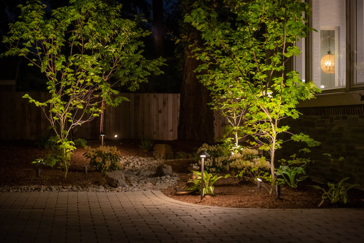 Professional Outdoor Landscape Lighting Products – Structure & Tree