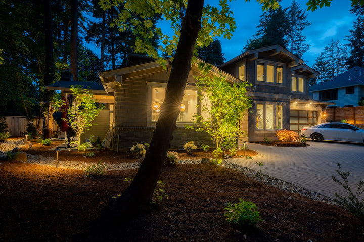 Professional Outdoor Landscape Lighting Products – Structure & Tree