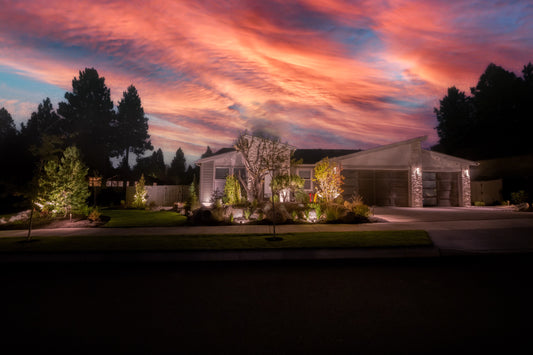 Professional Outdoor Landscape Lighting Products – Structure & Tree